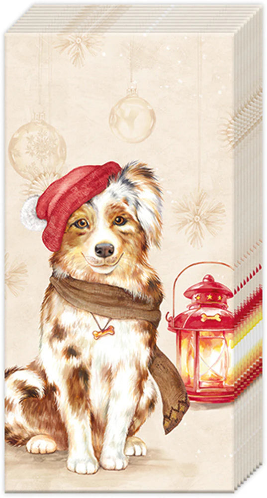 Jack Pocket Tissues - Spoiled Rotten