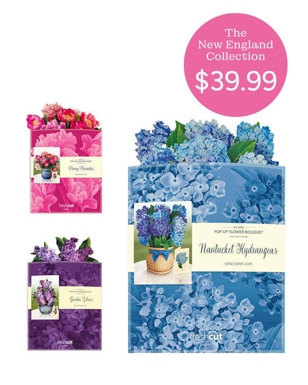 FreshCut Paper Bundles - Spoiled Rotten